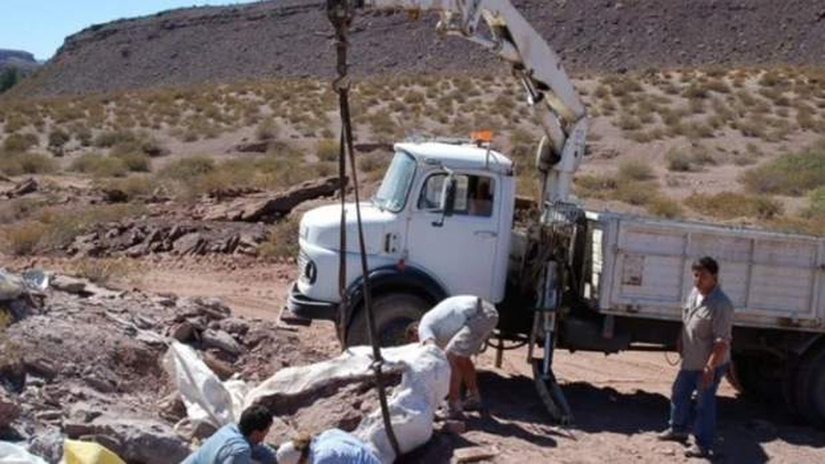 Descubrieron una especie de dinosaurio argentino: Lavocatisaurus