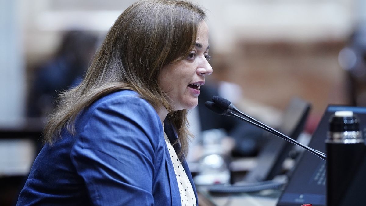 Solidaridad de Cecilia Moreau con Rombolá y silencio radical