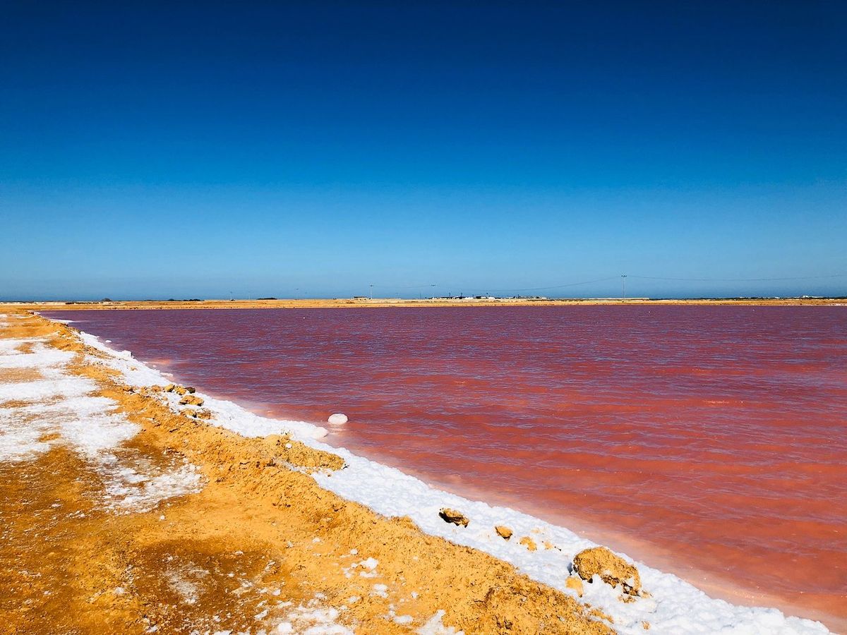 Esta playa rosada de Venezuela ha impresionado a muchos