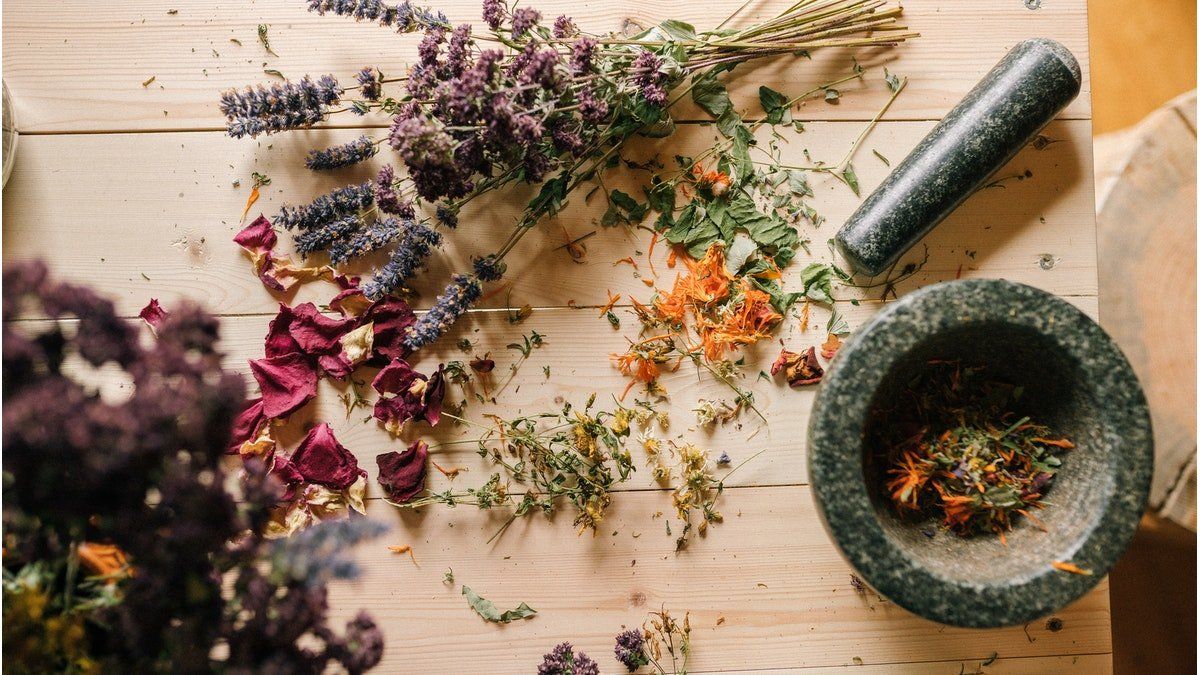 Estas son las 6 plantas medicinales más poderosas conocidas