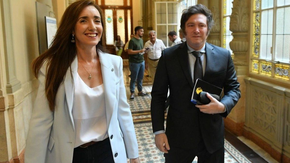 Alerta Javier Milei: Millennials insatisfechos (y ojo con Vicky)
