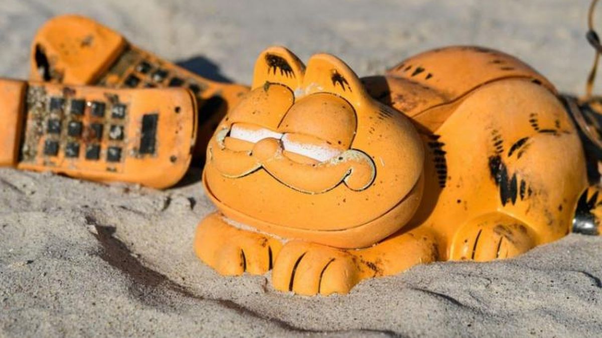 Por qué desde los 80 aparecen teléfonos de Garfield en las costas francesas