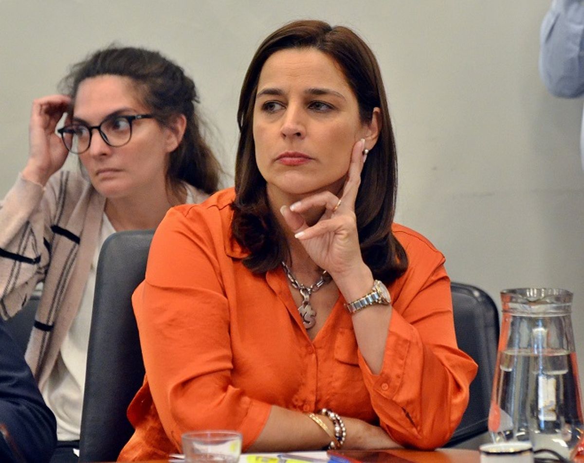 La UCR colaborativa advierte a Milei: Los cambios no pueden darse a ...
