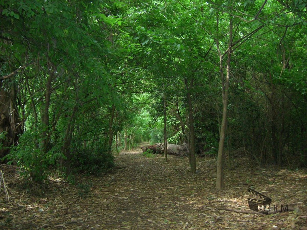 Buena idea expropiar la reserva natural Santa Catalina