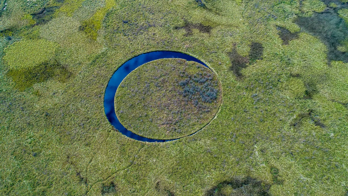 La misteriosa isla en el Delta que se mueve sola y nadie puede explicar ...