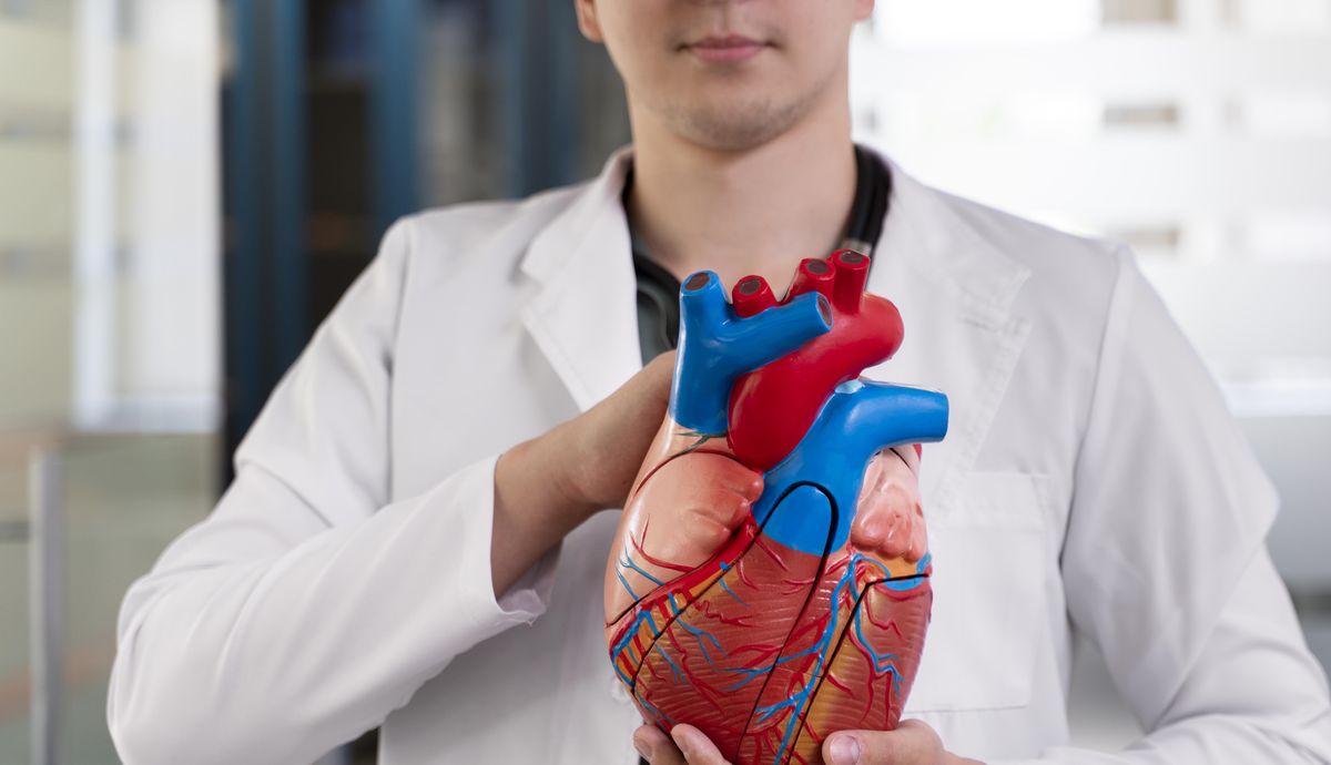 Haz estas 3 cosas para tener arterias limpias y corazón sano, según ...