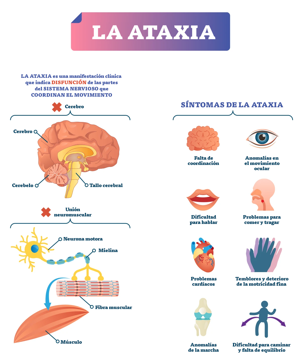 Día Internacional de la Ataxia: Los desafíos de vivir con una enfermedad olvidada