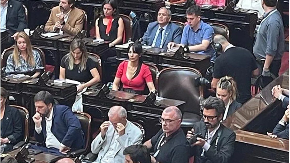 Máximo Kirchner, el rebelde (¿?): Otro faltazo al Congreso