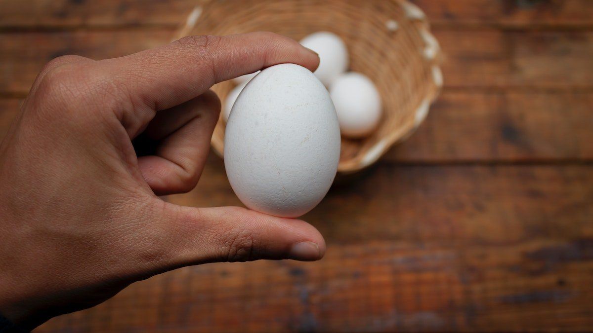 Colina, el nutriente desconocido que es clave contra el Alzheimer