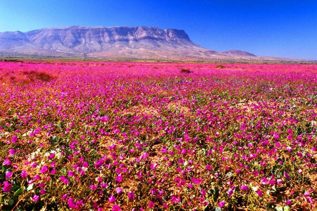 Los destinos más espectaculares para viajar en primavera