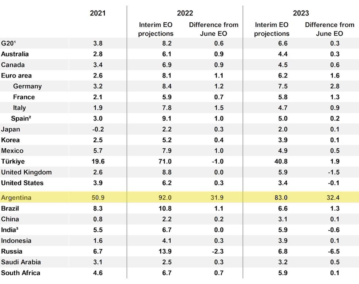 Inflación y PBI: La OCDE relativiza el presupuesto de Massa