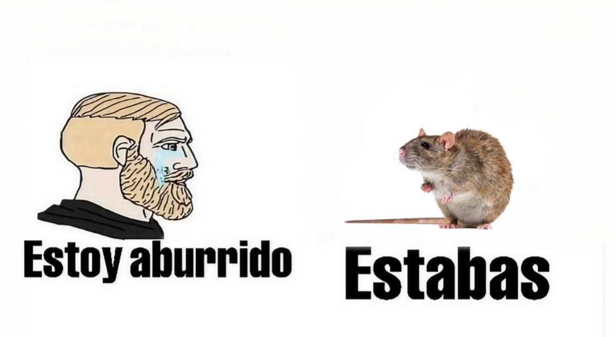 Masterclass de la rata a Jorge Macri y una horda de memes