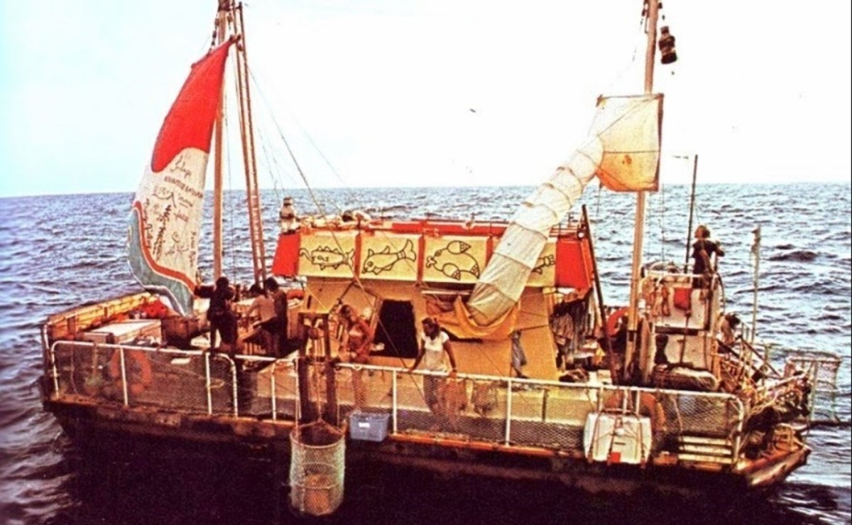 El curioso experimento humano balsa del sexo: ¿Qué reveló sobre el ...