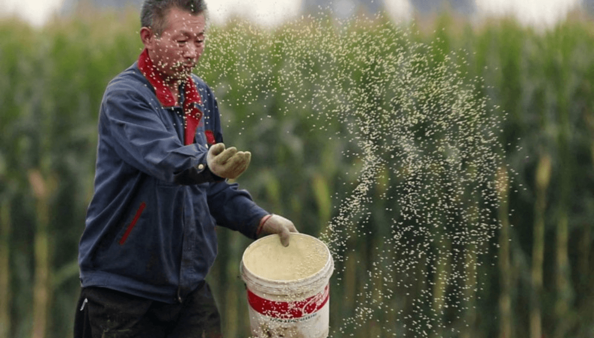 Avanza el plan de China para la autosuficiencia alimentaria: No soja ...