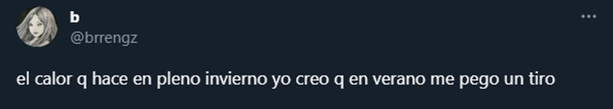 Ayudame loko: Por falso verano hay memes anti invierno