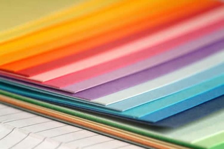 La papelera Ledesma cerró su planta de San Luis, despidió a los ...