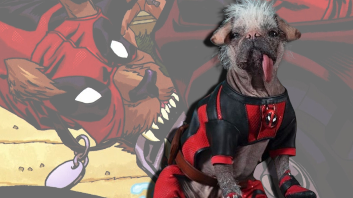 De feo a Deadpool y Wolverine: Conocé la historia del perro que hace de ...