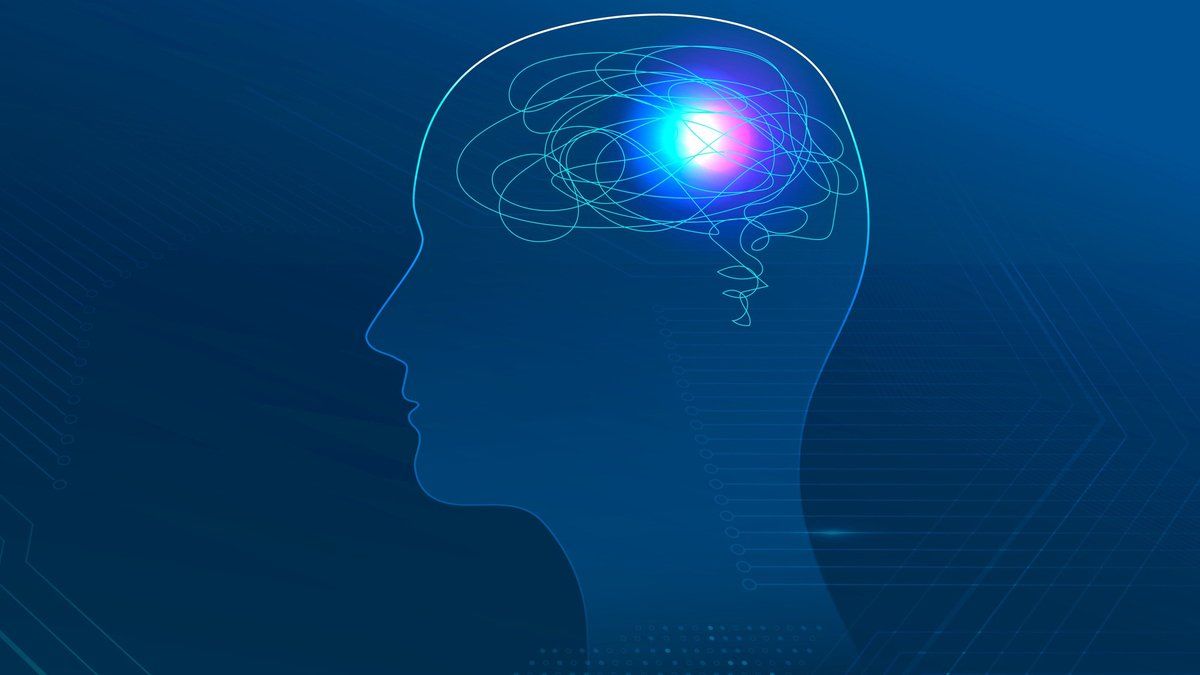 Cerebro: Descubren la red que conecta al cuerpo con la mente