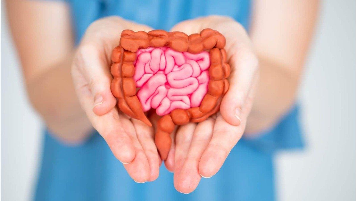 Cómo la microbiota intestinal puede ayudar a curar enfermedades