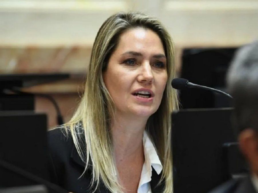 Carolina Losada apuesta al DNU de Milei aunque aseguró que no es la ...