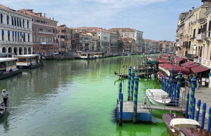 Italia: Misterio por Venecia teñida de verde, ¿un argentino detrás?