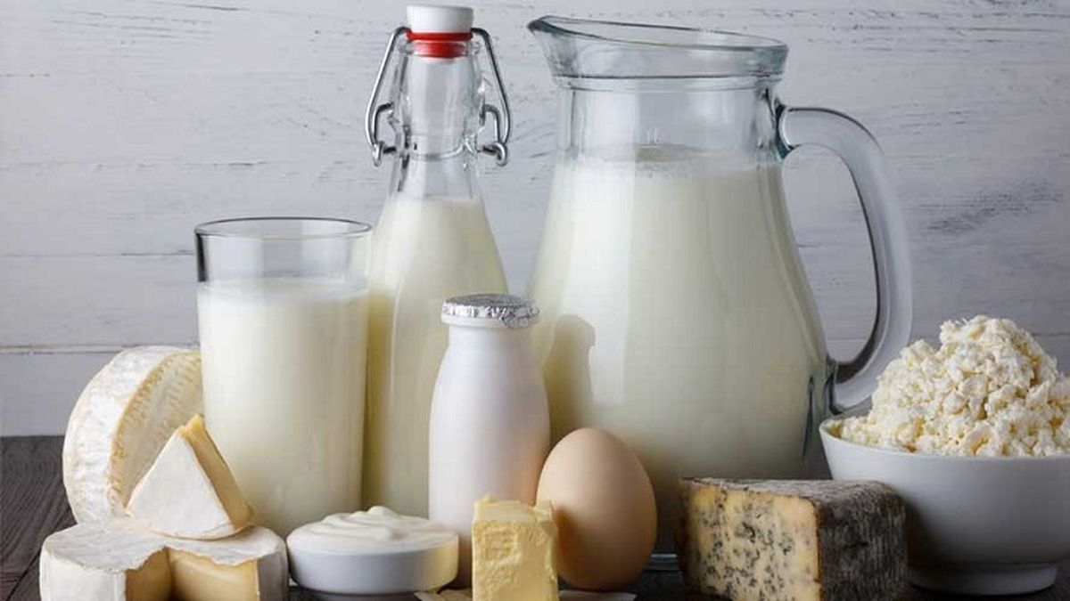 ¿Los lácteos son realmente indispensables?
