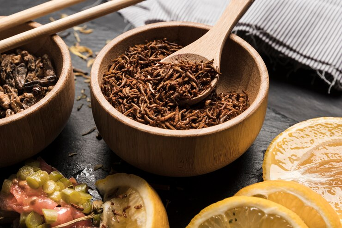 Científicos proponen reemplazar la carne con insectos