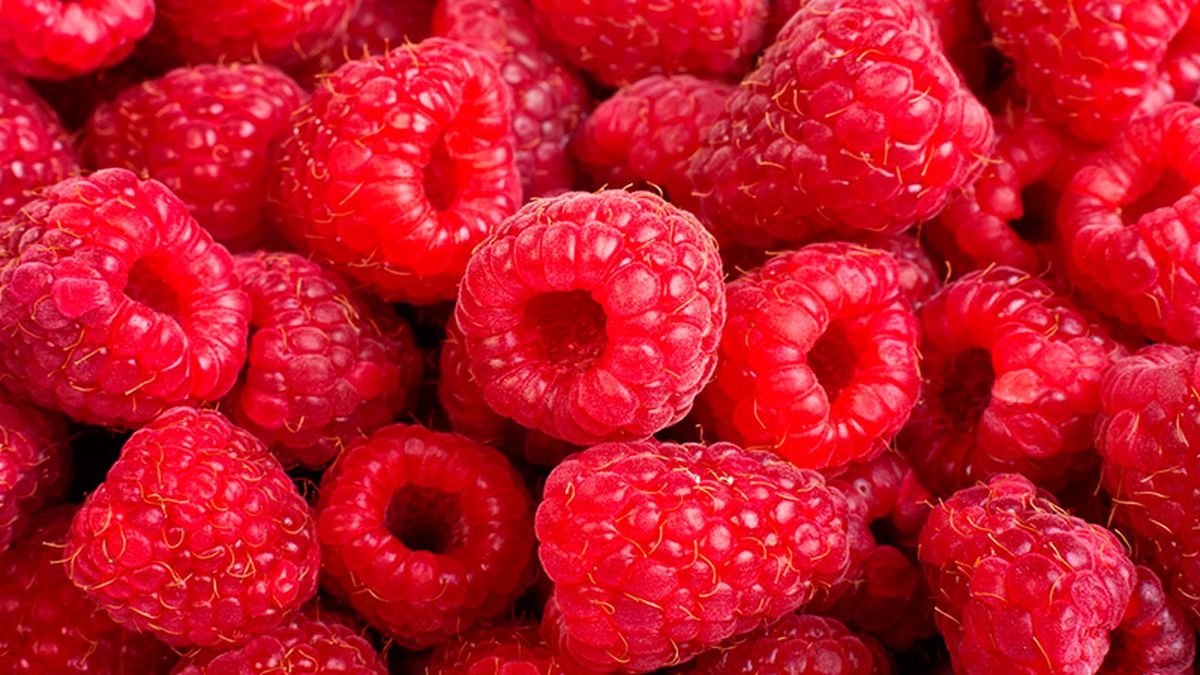 Frambuesa, la fruta para combatir el envejecimiento