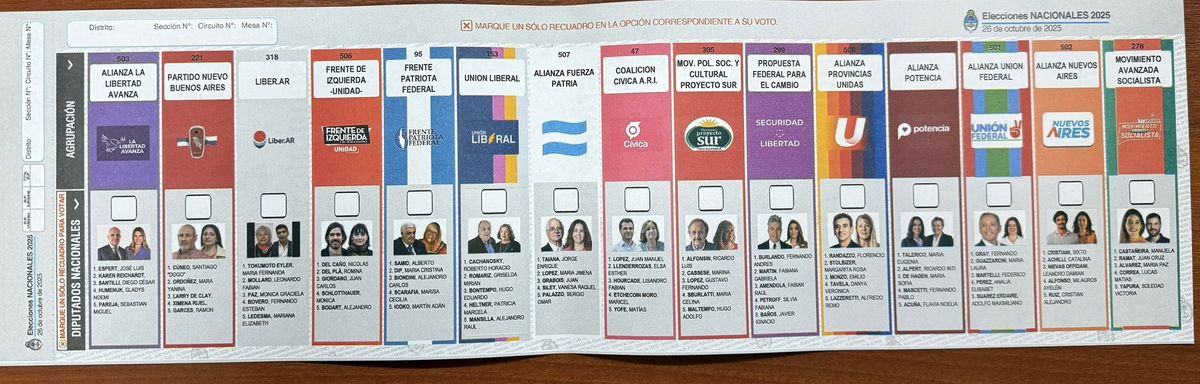 La Junta Electoral bonaerense citó a todos por caso Diego Santilli para ...