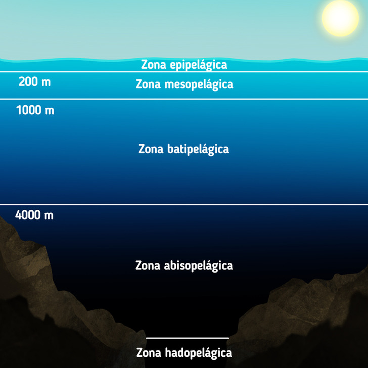 Ciencia: Super base submarina para explorar el 90% del mar