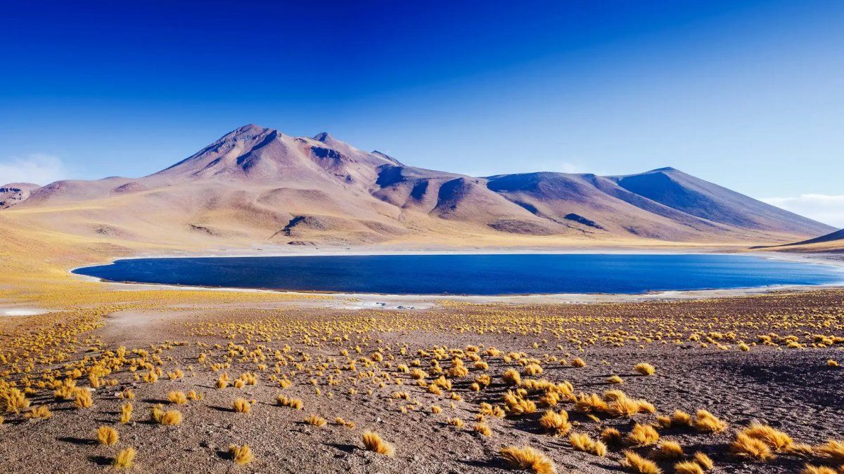 El desierto en Sudamérica que sorprende al mundo