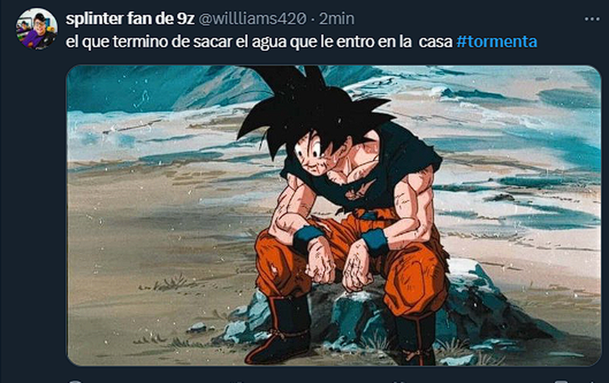 La tormenta del siglo: Mejores memes en redes por el temporal