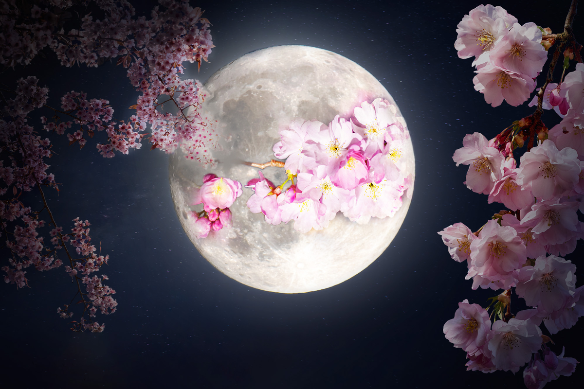Se viene la luna de las flores: Cuándo podés verla y qué la hace única este año