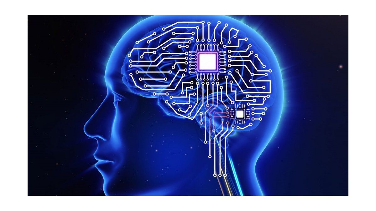 neuroprótesis - Detalle Agrupador