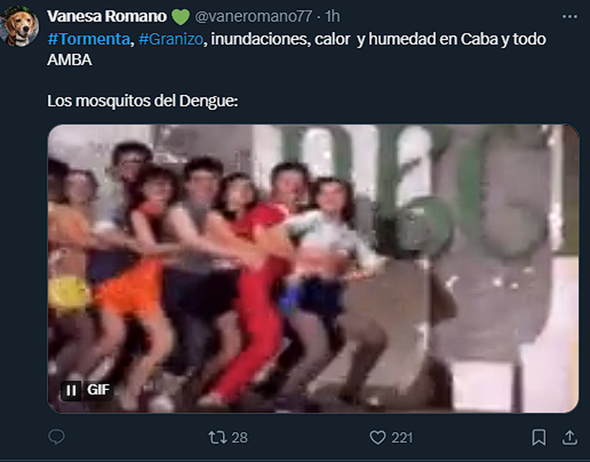 La tormenta del siglo: Mejores memes en redes por el temporal