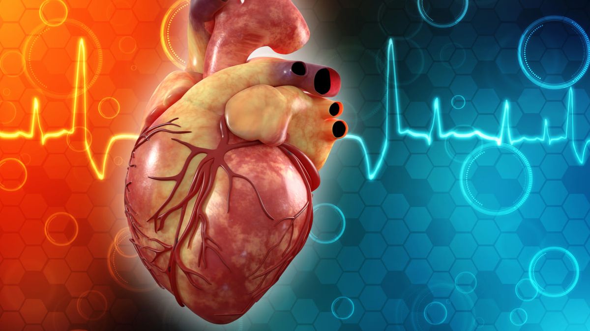 Día Mundial De Las Cardiopatías Congénitas