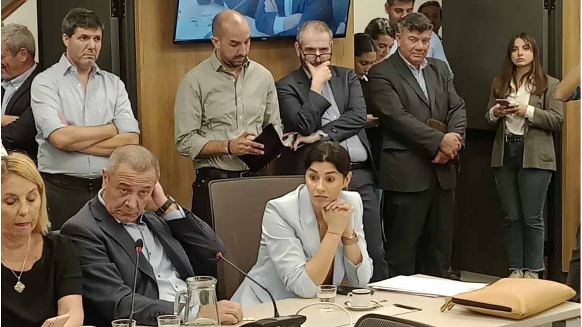 Marcela Pagano en Juicio Político: Corte de transmisión y dudas legales