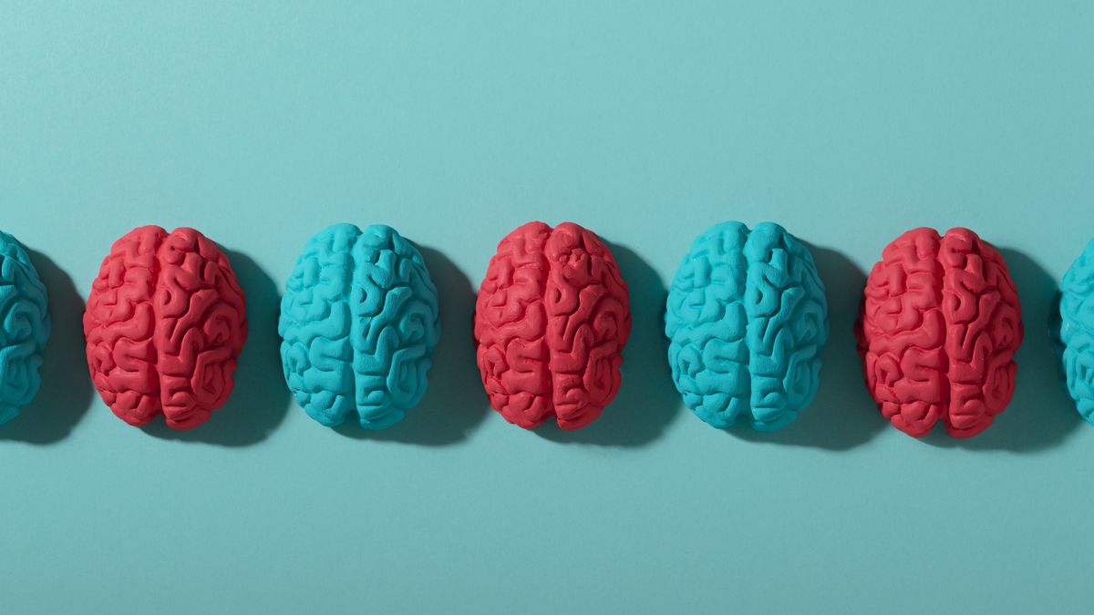 Revelado: Este hábito común protege al cerebro del deterioro cognitivo